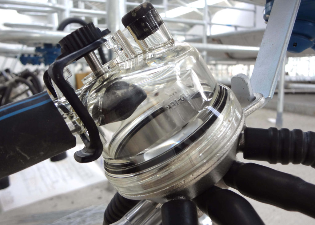 read-milking-cluster - Read Industrial - Servicing New Zealand's dairy ...