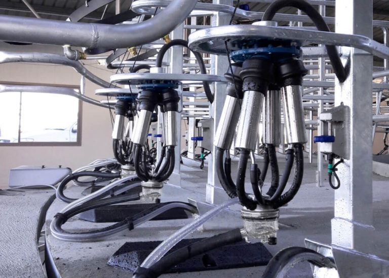 Rotary Milking Systems | Read Industrial Ltd