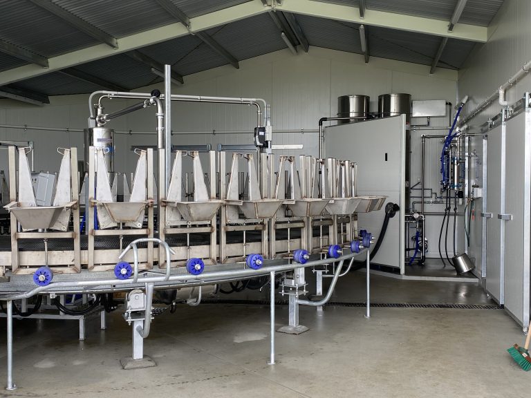Sheep Milking Machinery