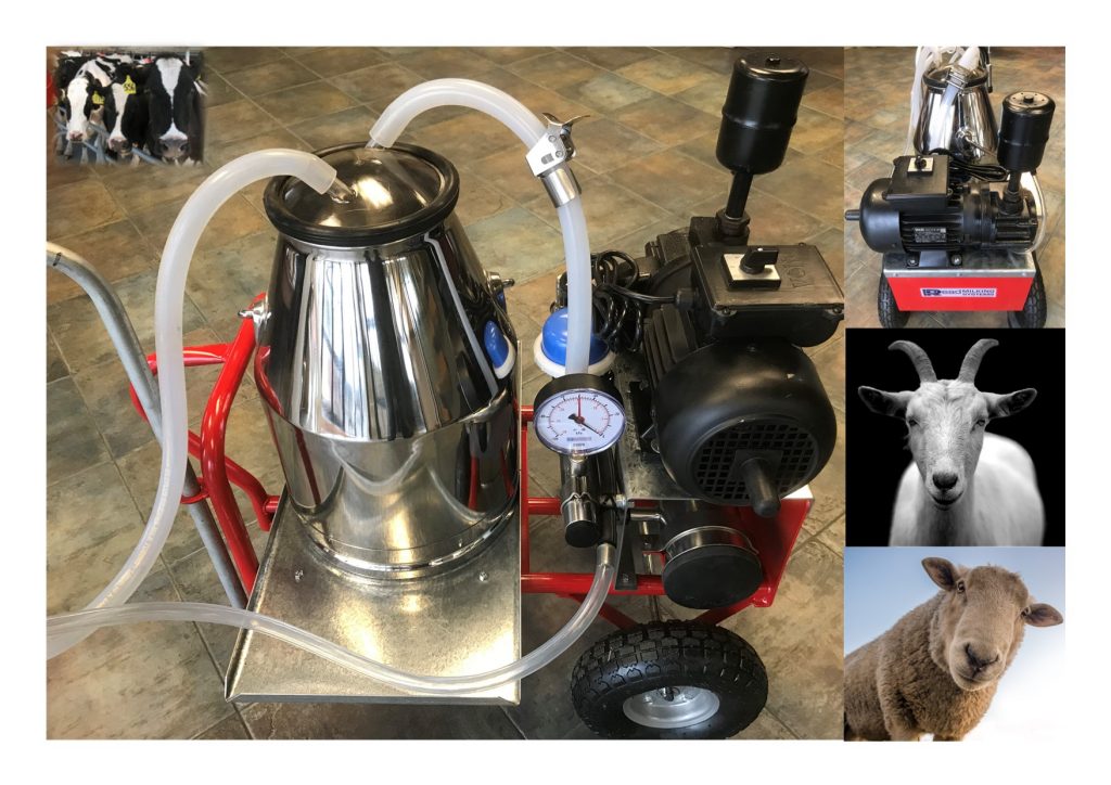 Dairy Milking Technology | Read Industrial Ltd