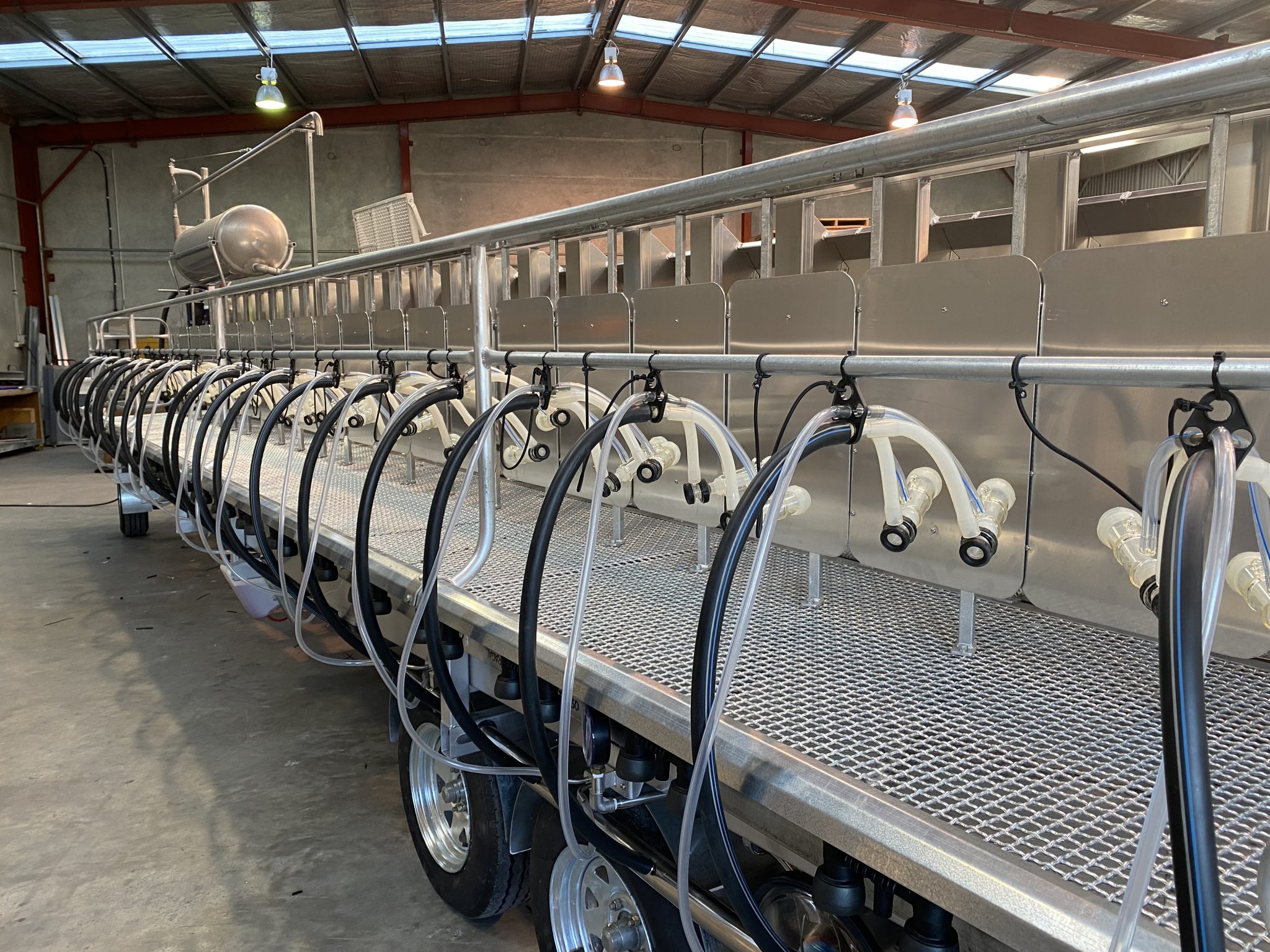Dairy Milking Technology | Read Industrial Ltd